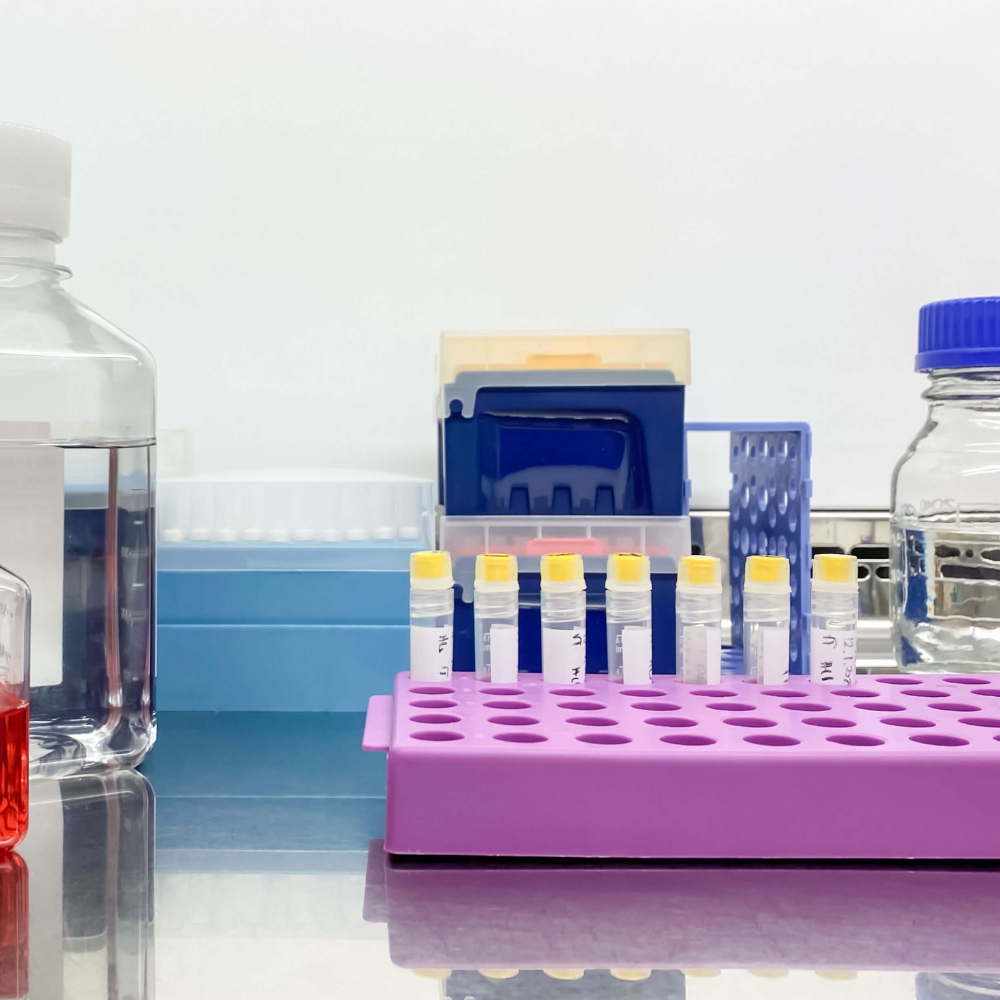 Chemical Industry - Aparatura Lab